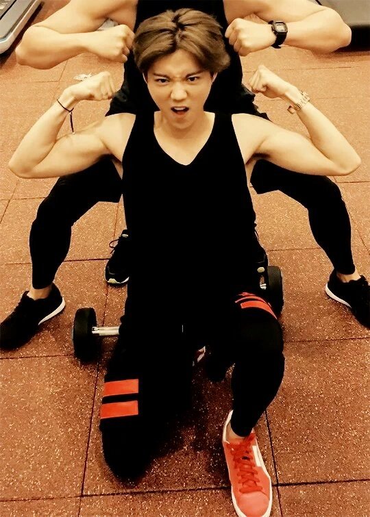 Luhan Muscles