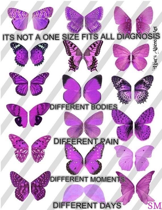 Lupus Foundation Butterfly Symbol
