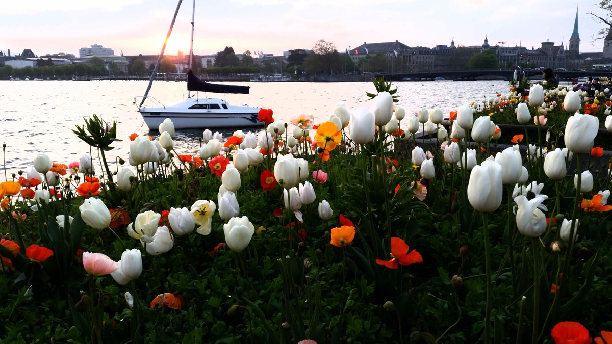 Petra Eberle (@petra_eberle) | Twitter