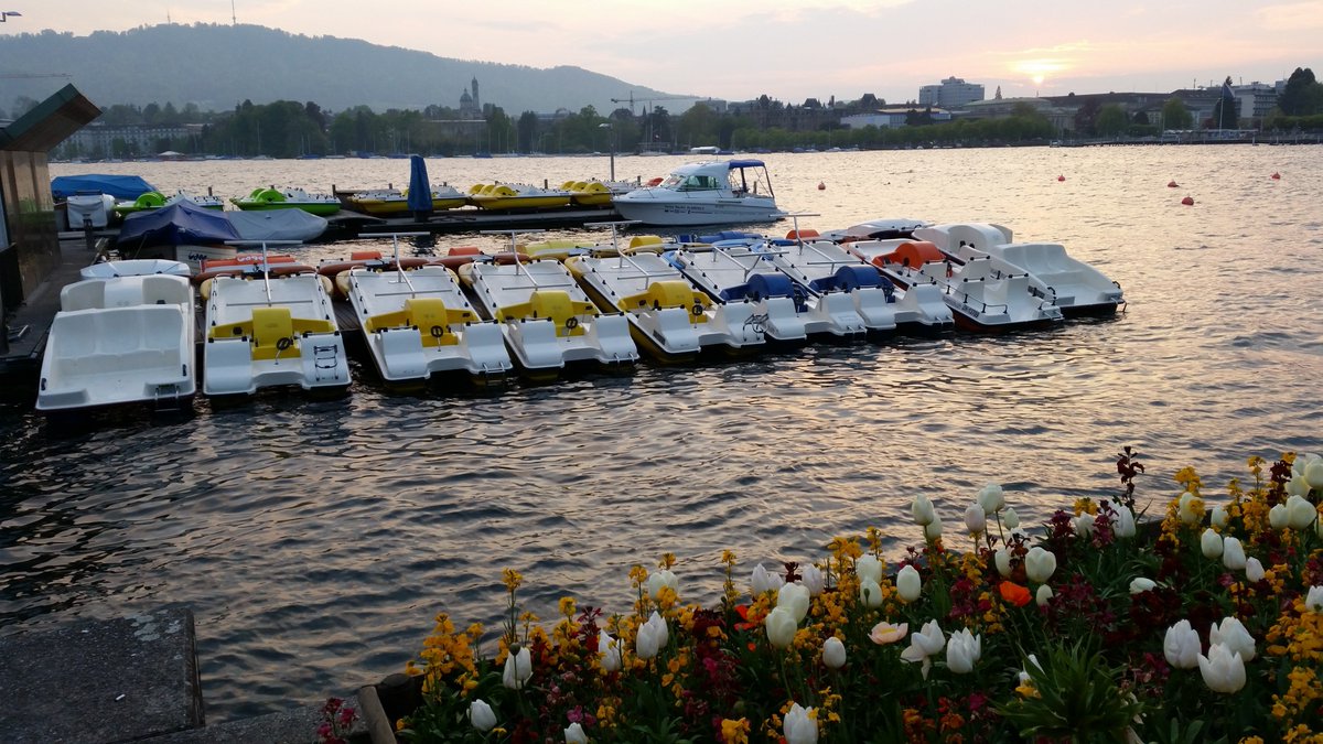 Petra Eberle (@petra_eberle) | Twitter