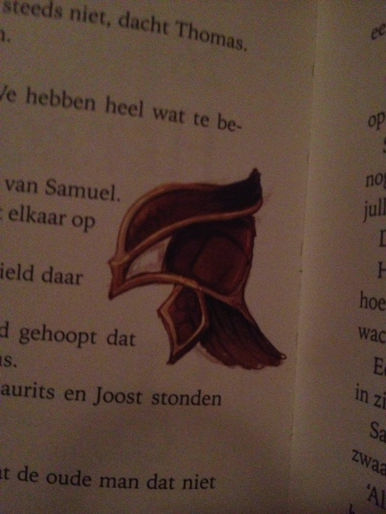 27+ Raveleijn Boek 2
