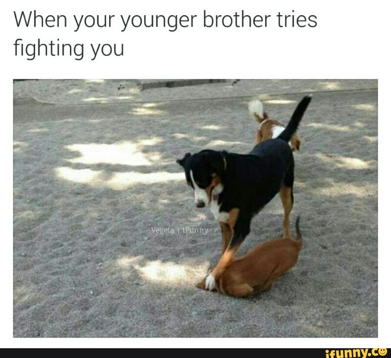Sibling Fight Meme
