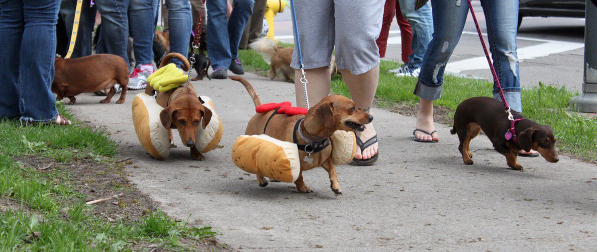 Heather Duffin (@HeatherMcDuffin) | Twitter