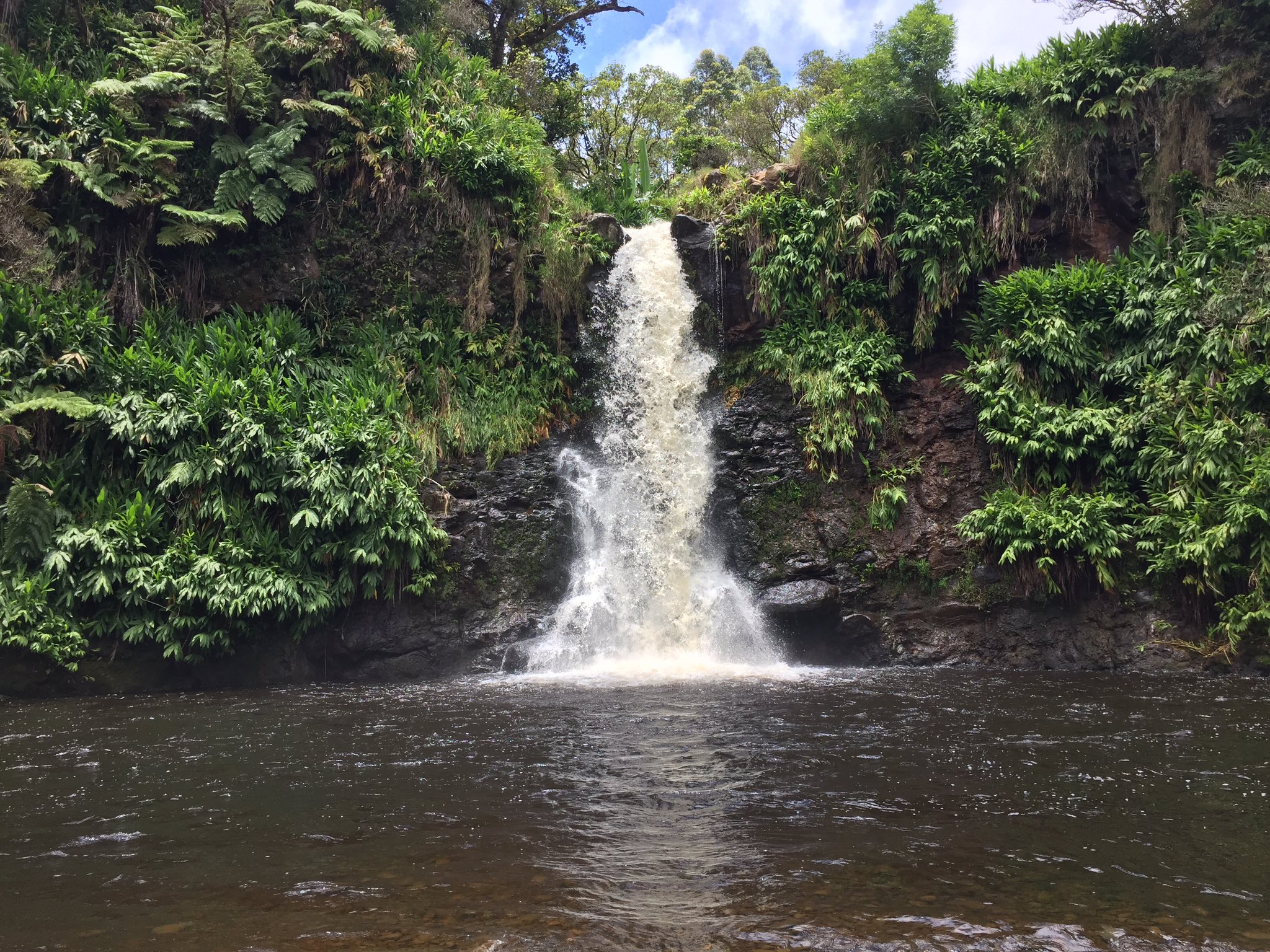 TW Pornstars - Haley420. Twitter. I rode a horse to this waterfall in ...