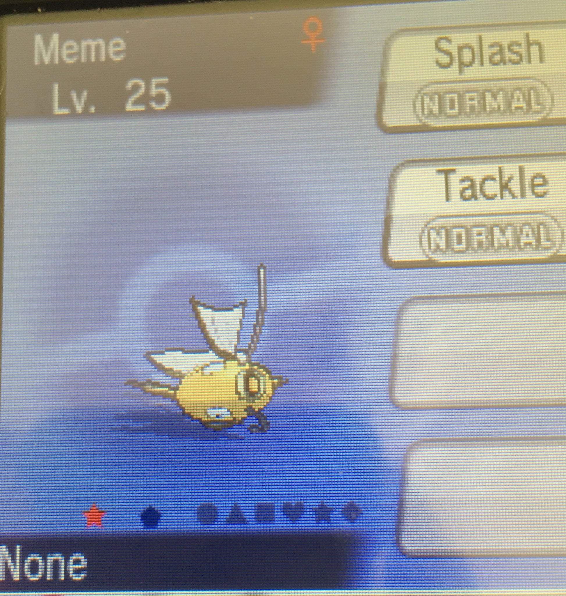 Magikarp Meme Splash