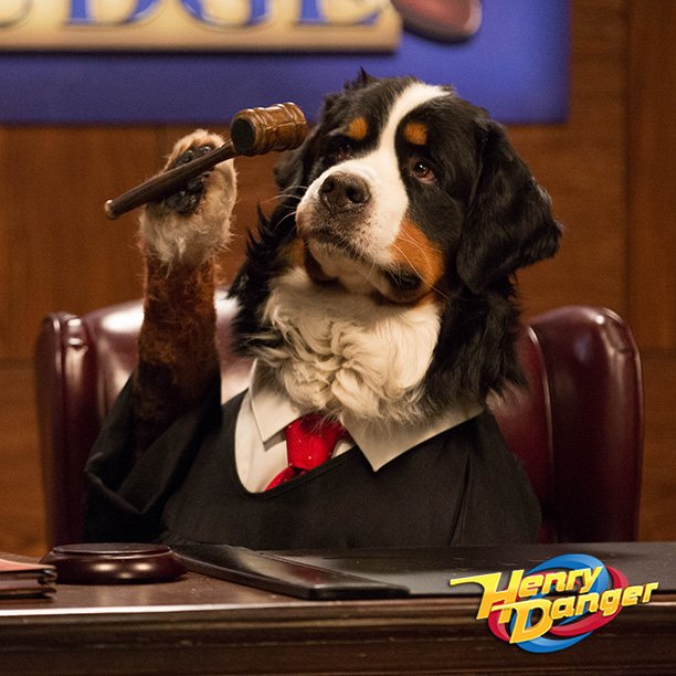 EE / expect usual anti dog Bx now — Digital Spy