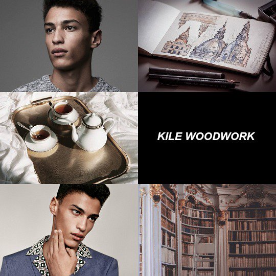 The Selection Series Tumblr