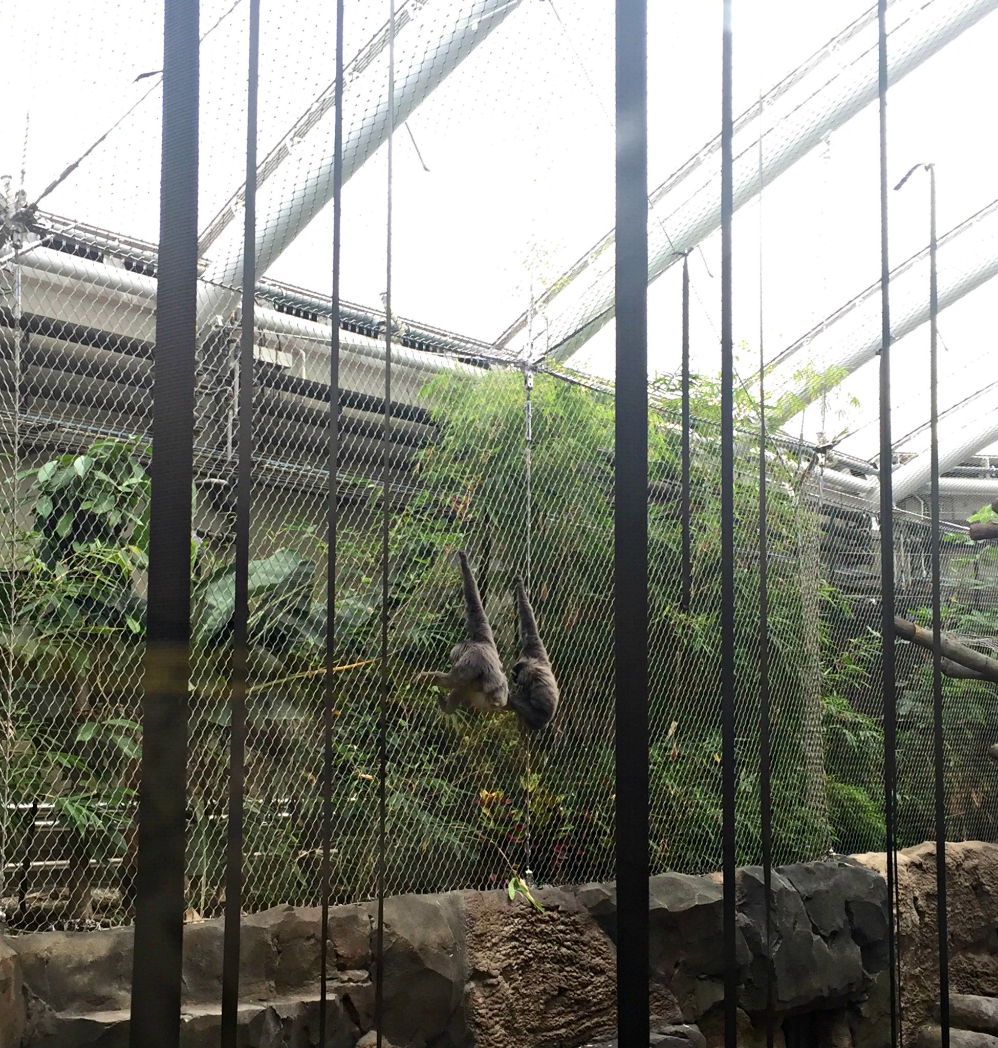 Base Structures UK Ltd on Twitter: "Hang on in there, it's nearly the weekend! #FridayFeeling # ...