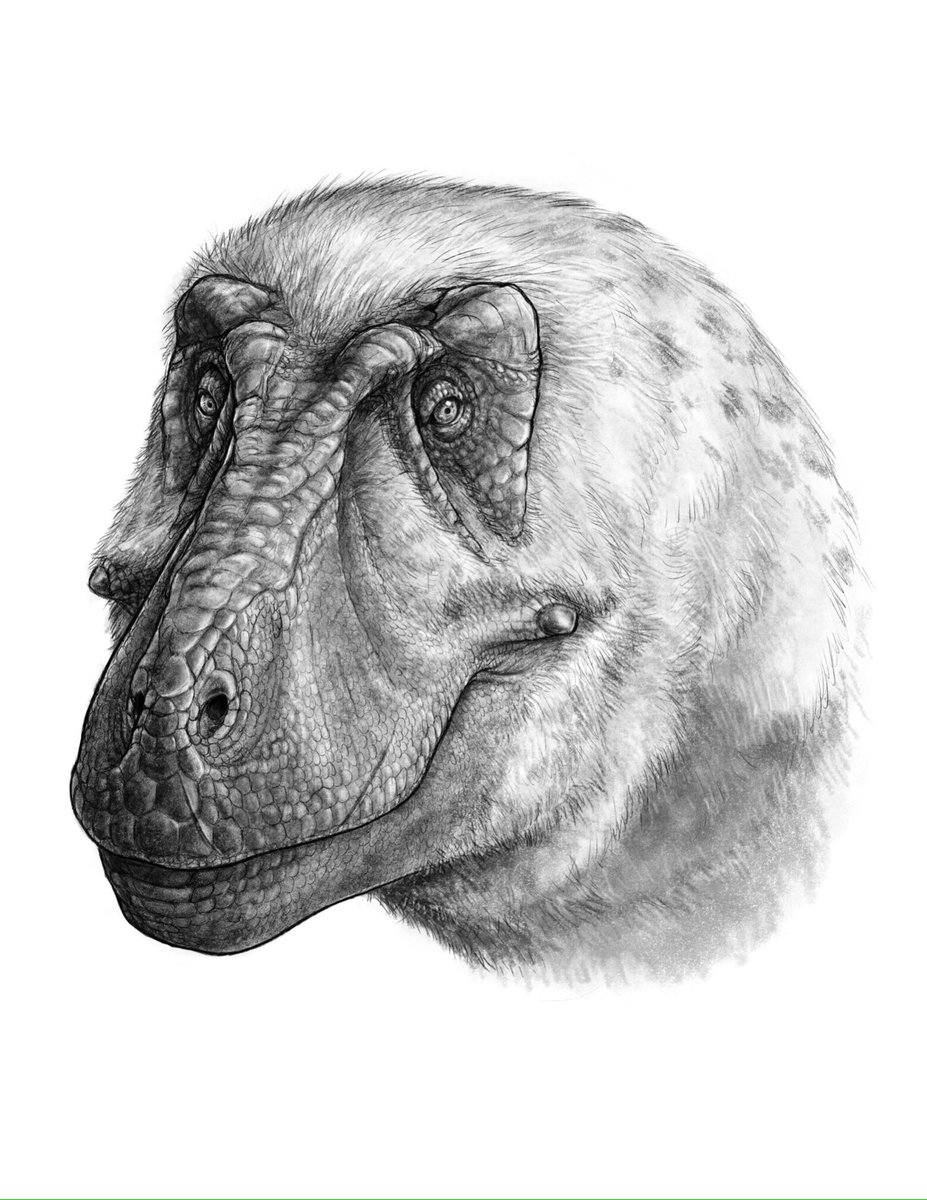 Tyrannosaurus rex would have had lips, Toronto paleontologist says ...