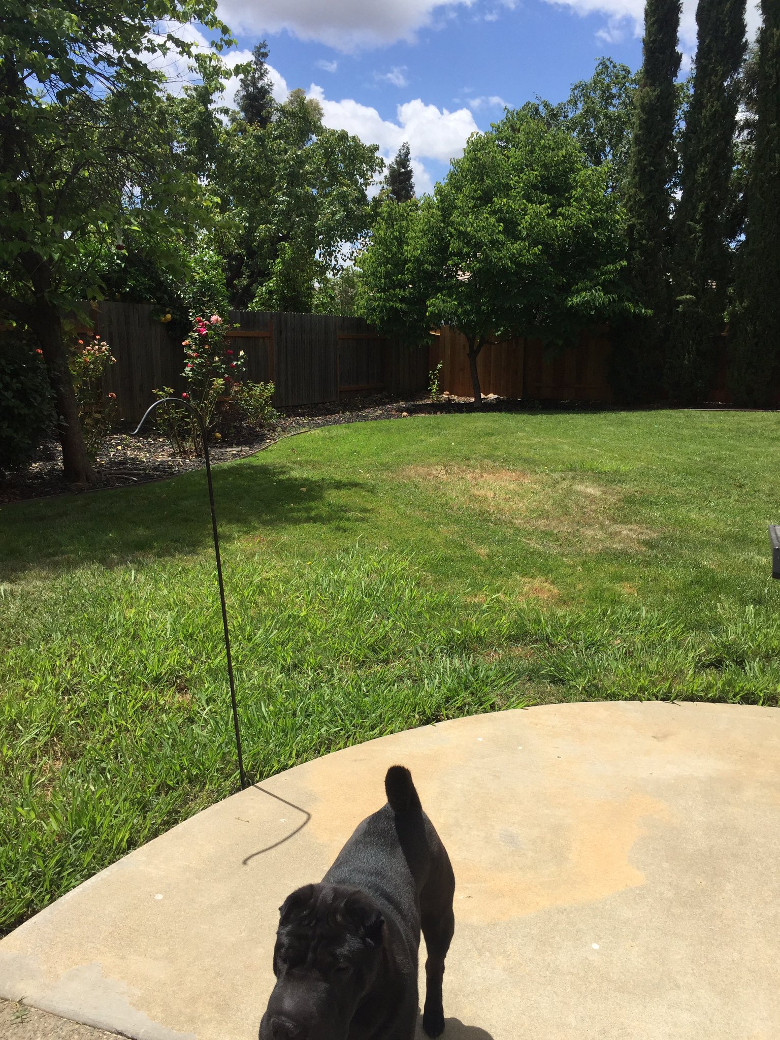 TW Pornstars - Haley420. Twitter. @Mandarenee420 what where!? Gimmmmmme ...