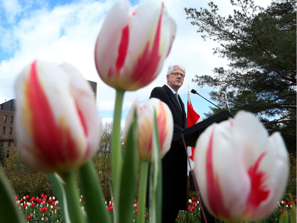 NCC launches official Canada 150 tulip for nation's anniversary ottnews ...