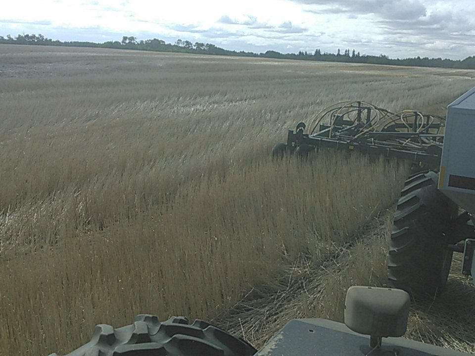 Stripper Headers | The Combine Forum