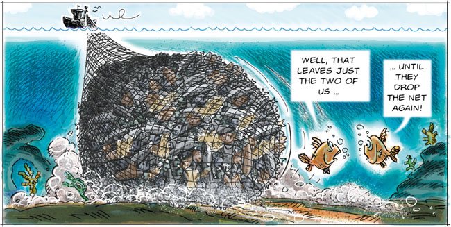 Overfishing Cartoon A New Campaign Parodies Dave The Diver To Warn Of