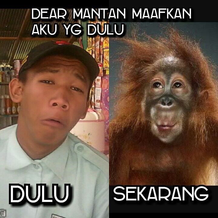 Gambar Lucu Dan Kocak Abis