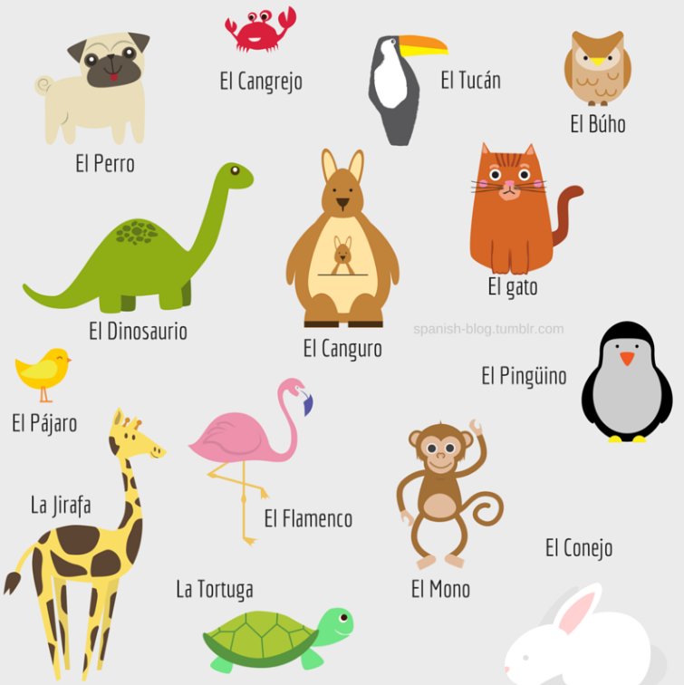 Antenna Animal In Spanish at Olga Rayford blog