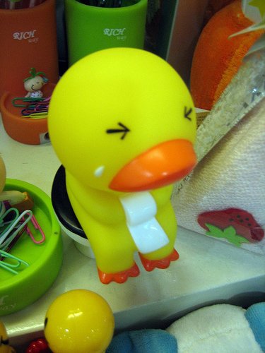 Constipated Duck