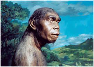 Pithecanthropus Erectus Java Man