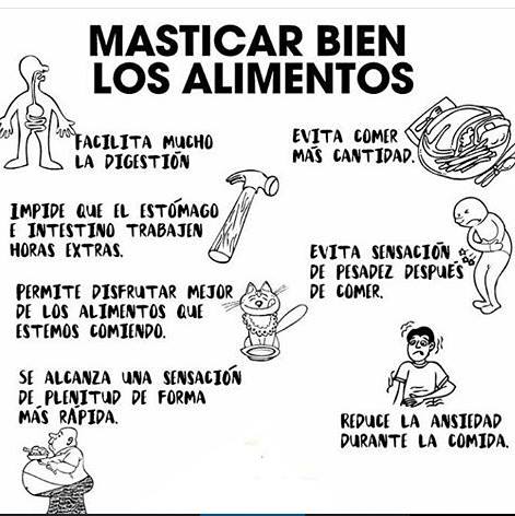 Por que debemos masticar bien los alimentos. | Scoopnest