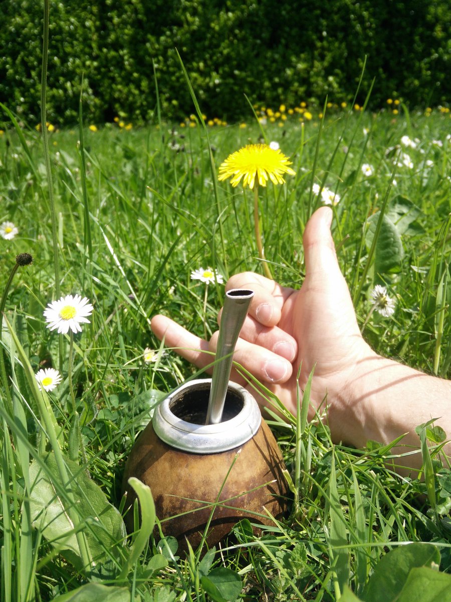 Lukasz Jablonski (@LukaszJablonsk1) | Twitter