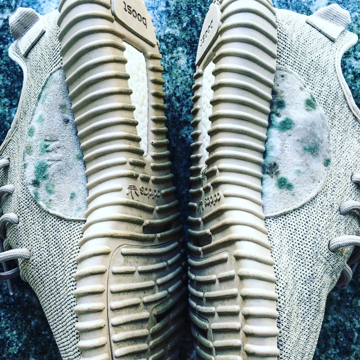 Sofie Elrum (@elrum_sofie) | Twitter