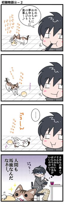 猫マンガを描いてみた。初猫物語⑯－2 ⑯のその後。ちなみにこのおもちゃ、.. | まゆなーず@C105_12/30(月)む30b さんのマンガ | ツイコミ(仮)