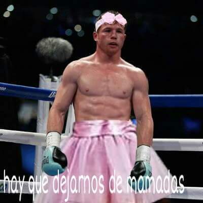 Canelo ganado furia famosos memes | Tiempo Real | Scoopnest
