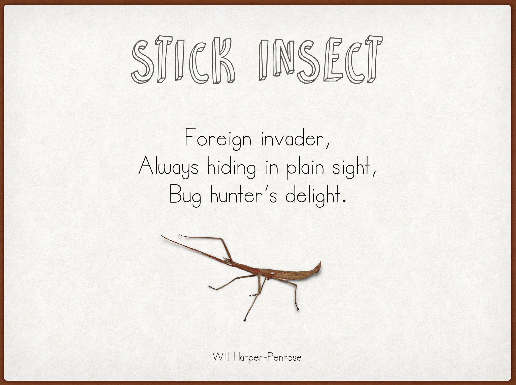 Haiku Poems About Animals Wildlife Haiku Worksheet Worksheet | ELA