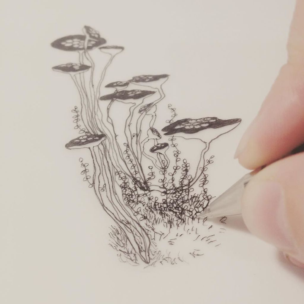 Mosses Plants Drawing