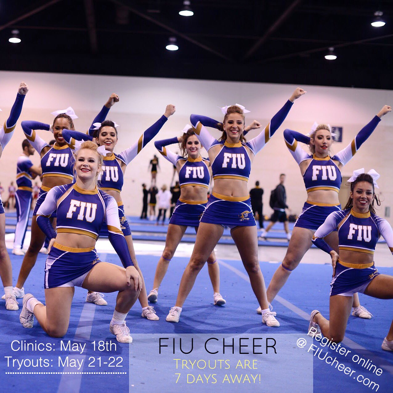 Fiu Cheerleading