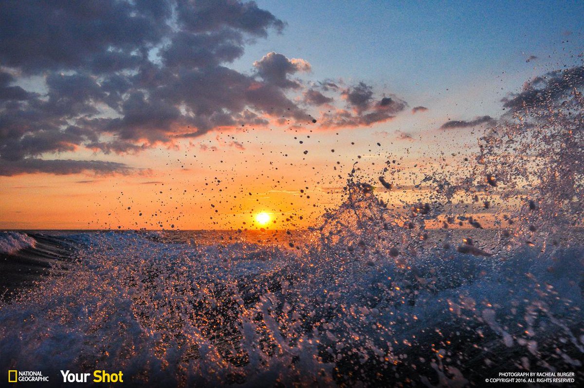 Help us raise awareness about the ocean by sharing your best photos of ...