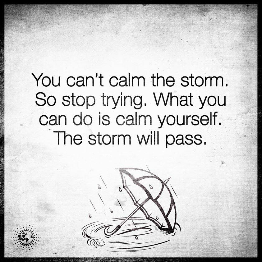 You can't calm the storm. So stop trying. What you can do is calm ...