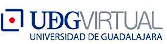 Udgvirtual Logo