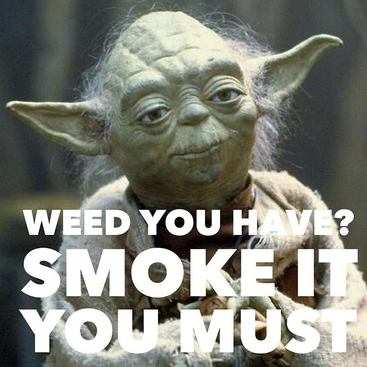Yoda Weed Meme