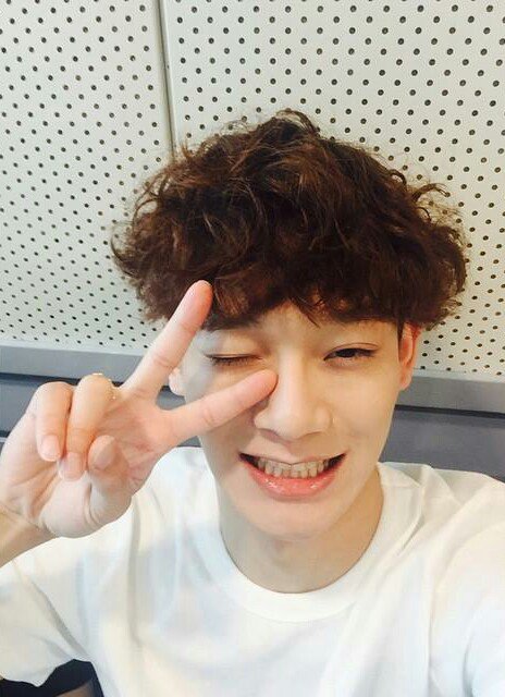 Exo Chen Selca