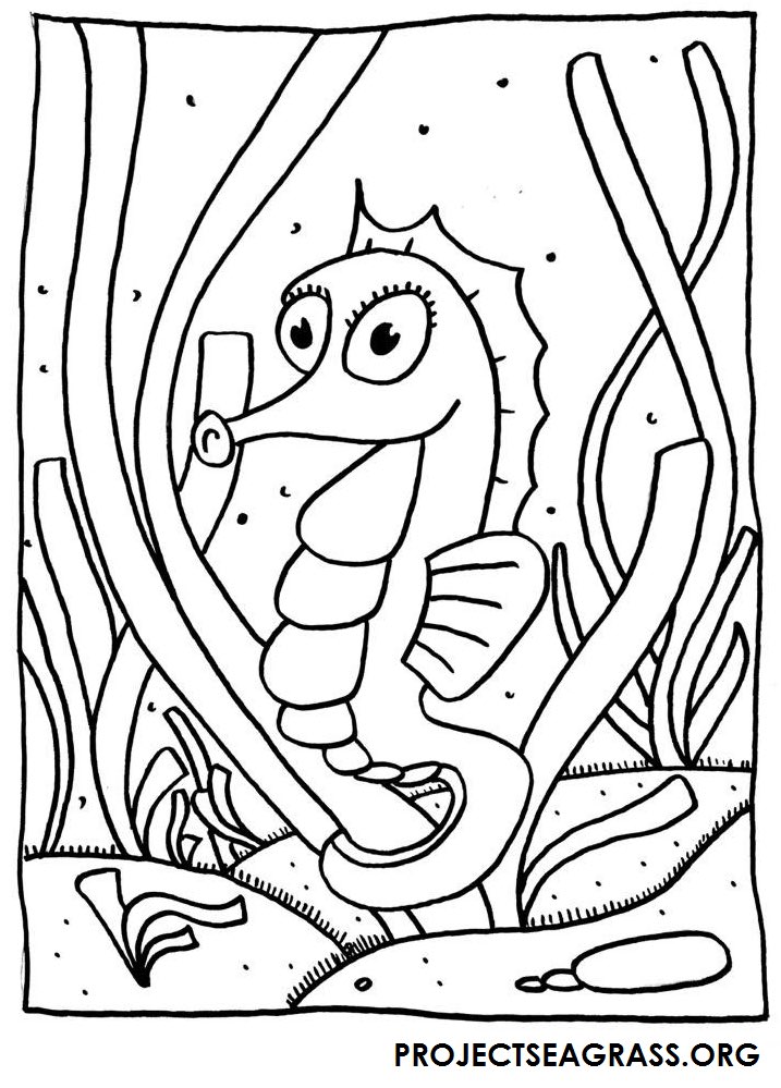 Seagrass Coloring Pages