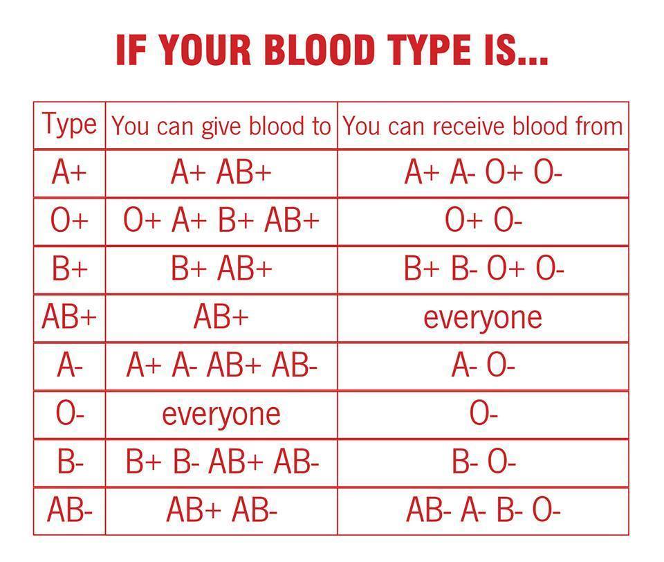Giving And Receiving Blood
