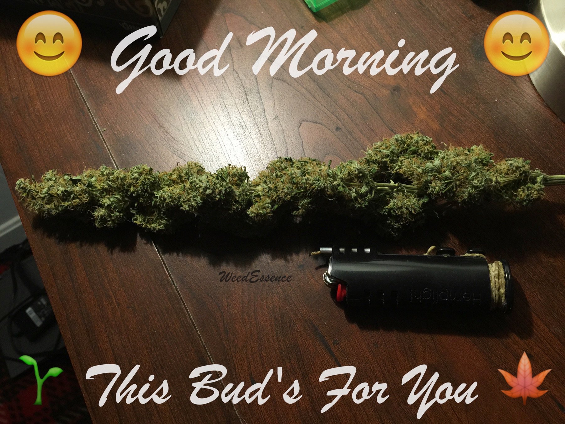 Good Morning Weed Memes Unique Weed Nugget Plushie With Encouragement