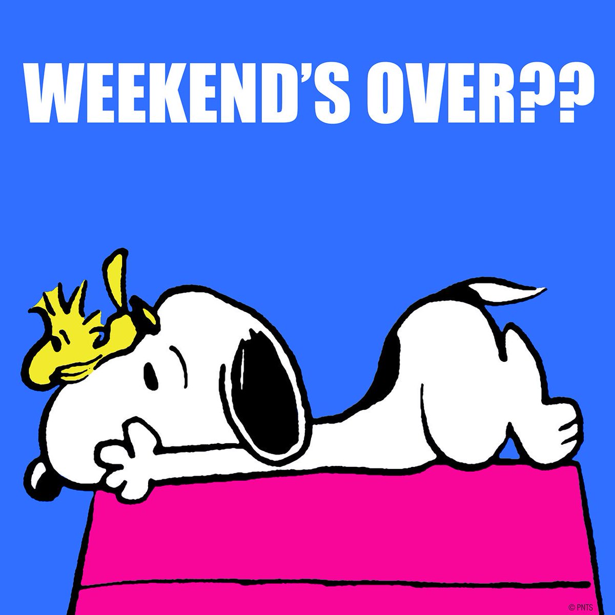 Weekend Over Already