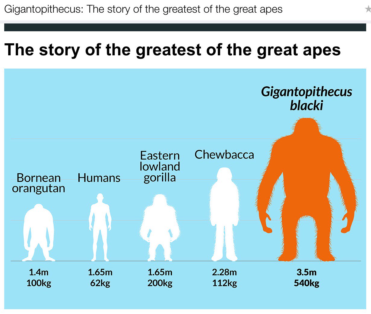 Gigantopithecus Size