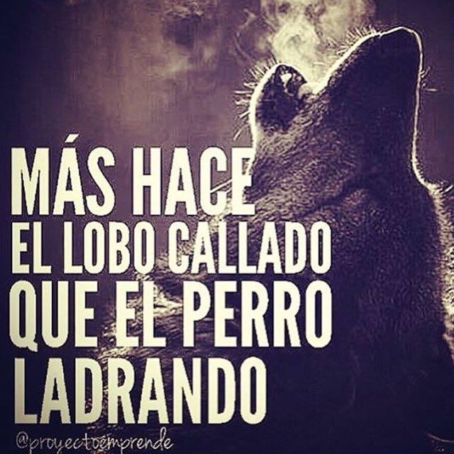Introducir 80 Imagen Lobos Enamorados Con Frases Abzlocal Mx