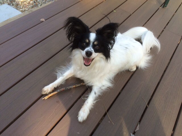 Joanne Merrick's Instagram, Twitter & Facebook on IDCrawl