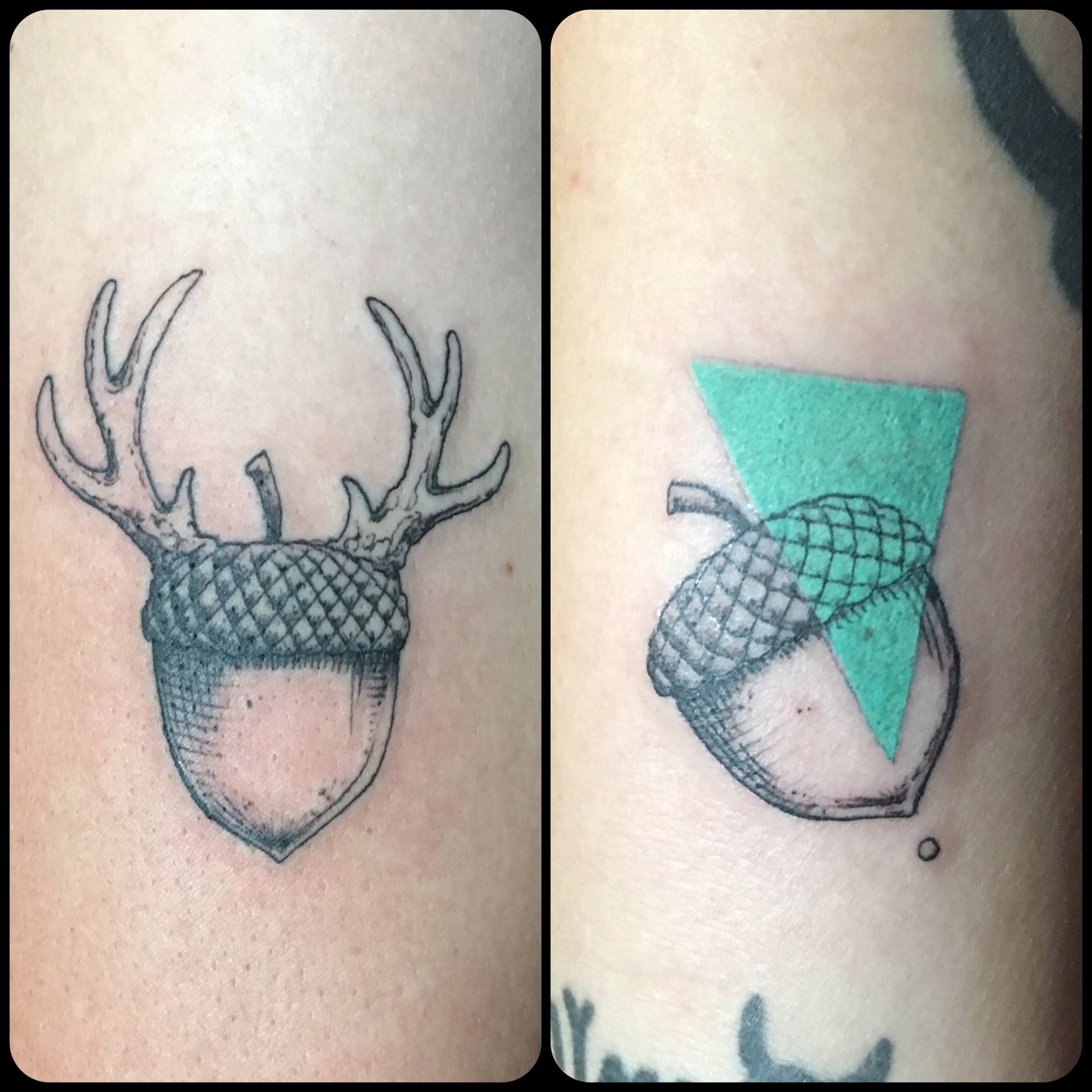 Acorn Tattoo