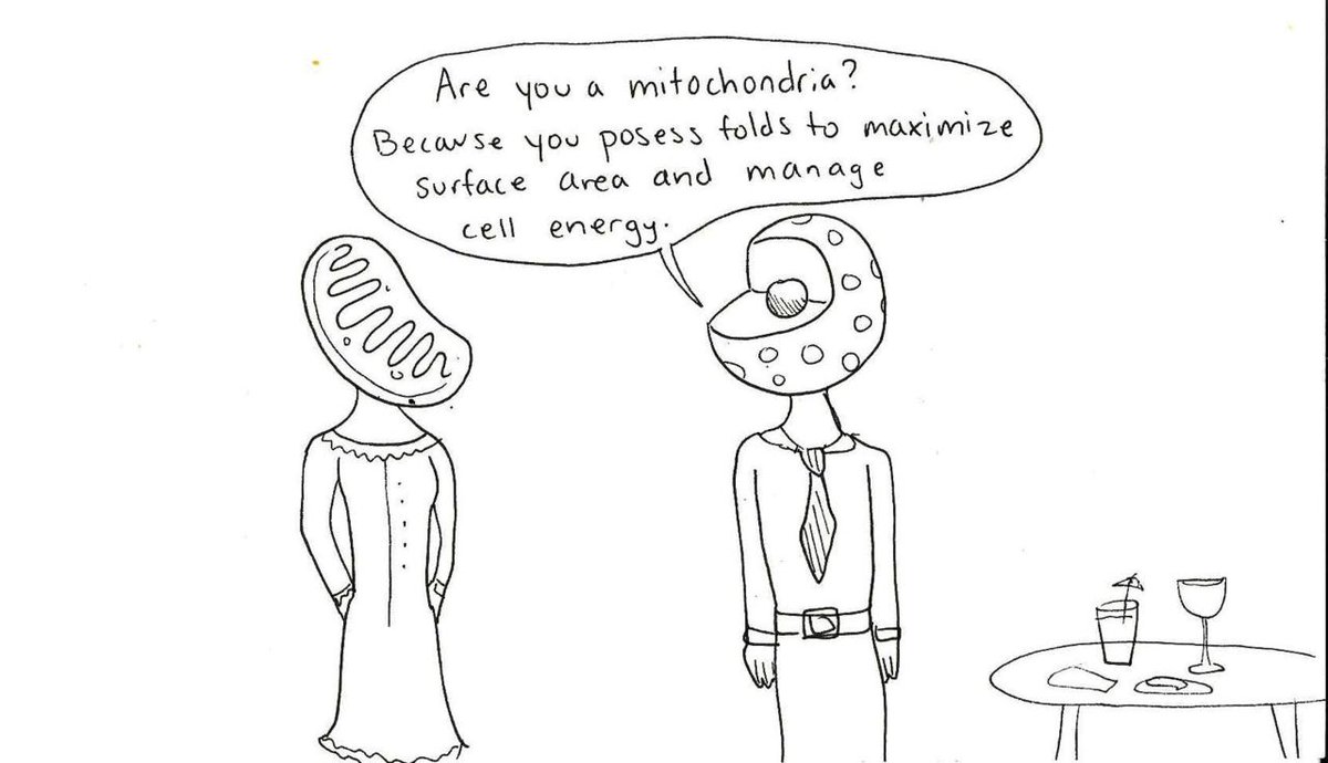 Cellular Respiration Funny