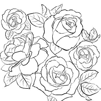 Rose Garden Coloring Pages