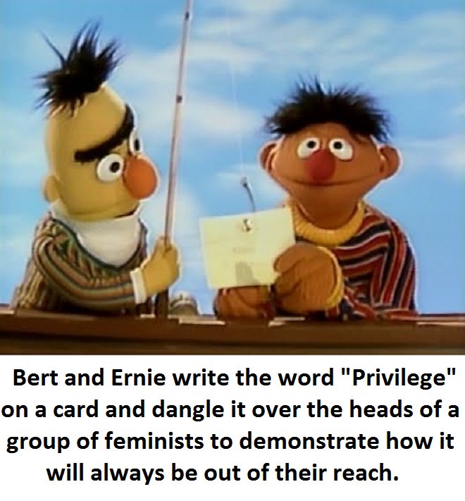 Sesame Street Bert Meme