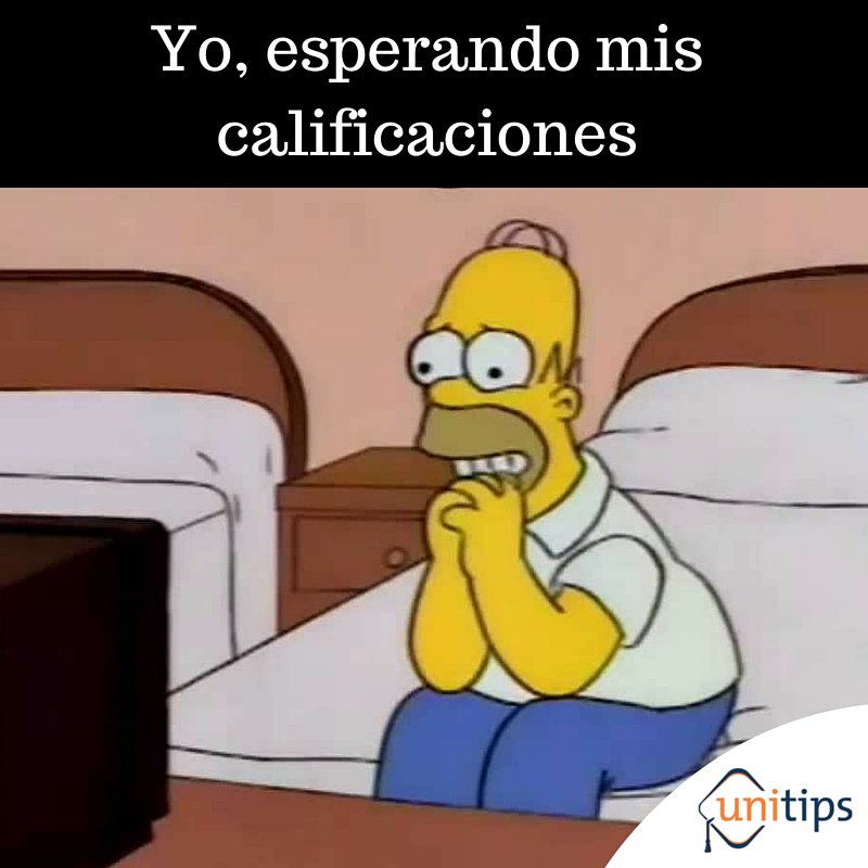 Meme De La Semana De Exámenes Finales