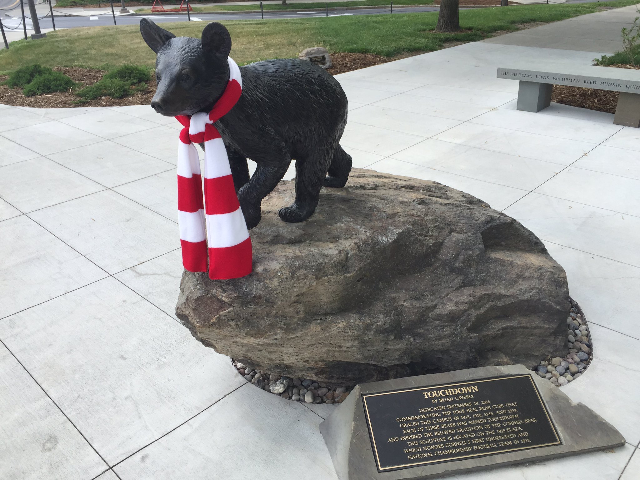 Cornell University Bear