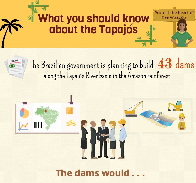 The heart of the Amazon rainforest is in danger. What you need to know ...