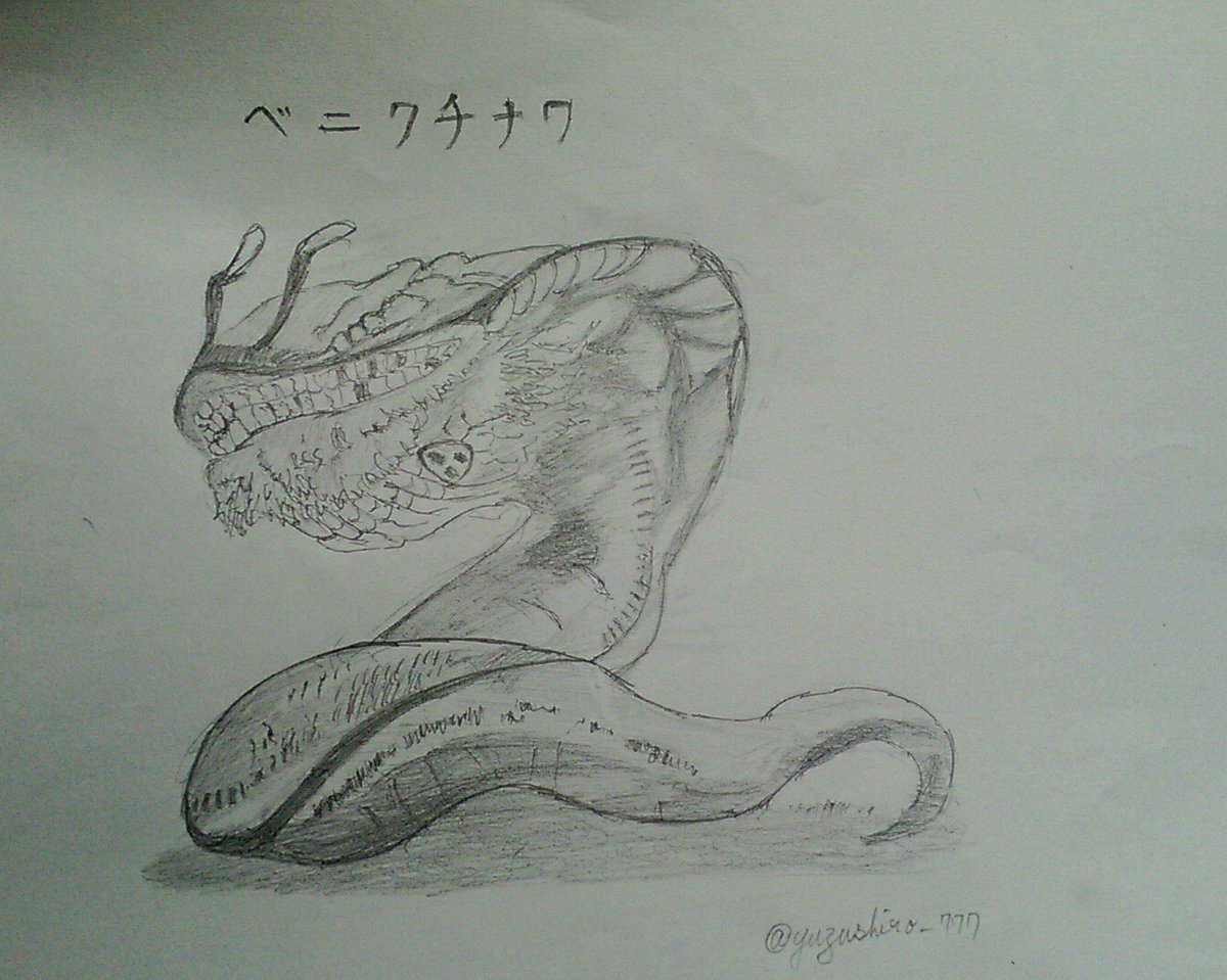 ゆずしろ。?結月白? On Twitter ベニクチナワを割と真面目に描きました 絵描きさんと繋がりたい メイドインアビス