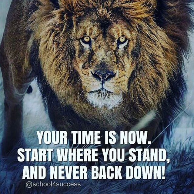 Never Back Down Quotes